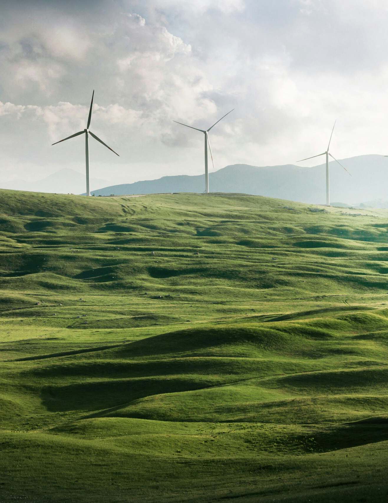 Climate – Chia Network